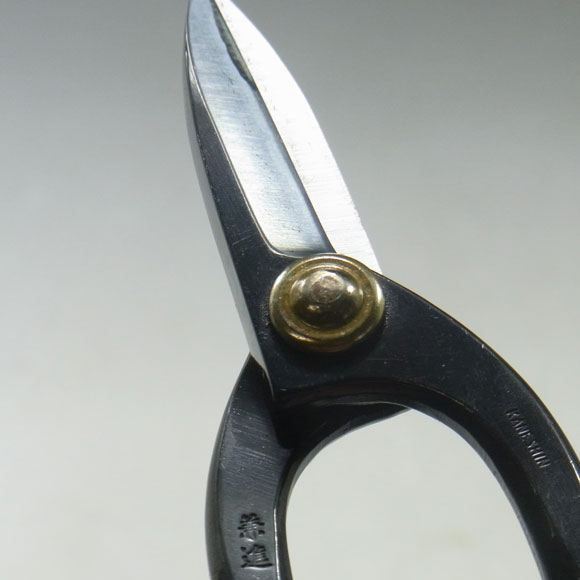 [KANESHIN of bonsai tool]Bonsai Scissors small – (Kaneshin) “ length ...