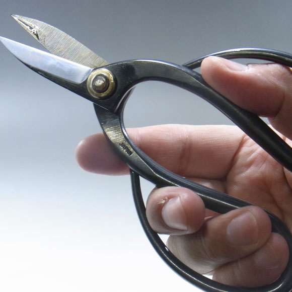 [KANESHIN of bonsai tool]Bonsai Scissors small – (Kaneshin) “ length ...
